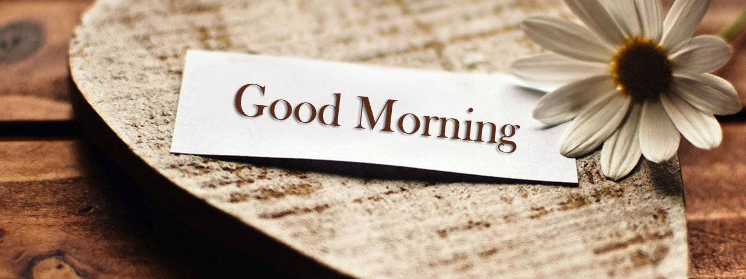 Wake Up to Life: Why Every Morning Is a Gift You Shouldn’t Take for ...